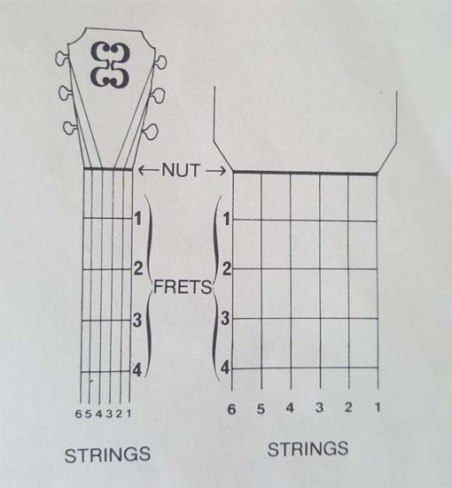 Guitar Chords for Beginners | Easy Guitar Chords for New Guitarists